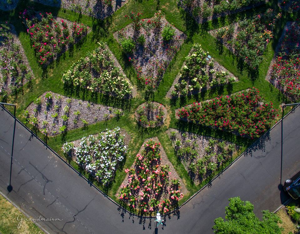 Ladd's Addition - SE Portland - Peggy Reaume